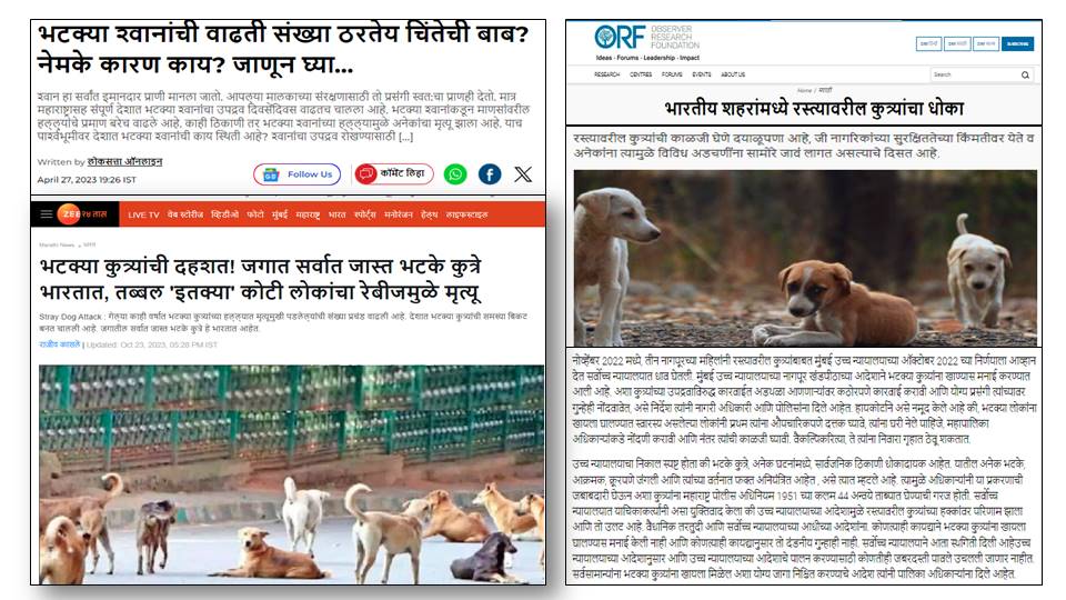 Understanding and Managing Stray Dog Behaviour: Insights and Practical ...